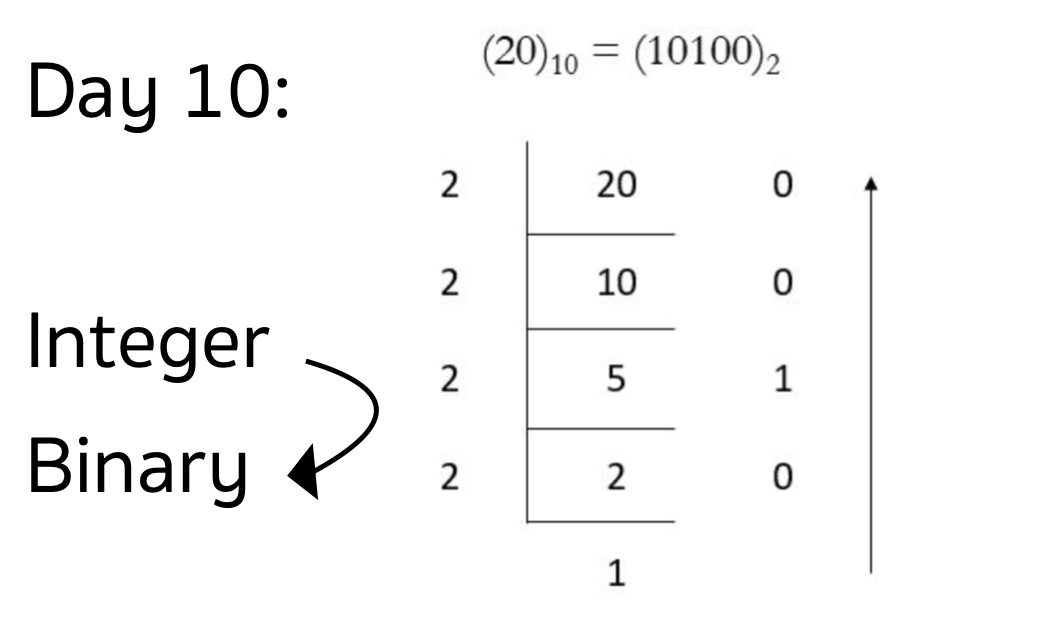 Sara Pesavento - Rdvark Blog